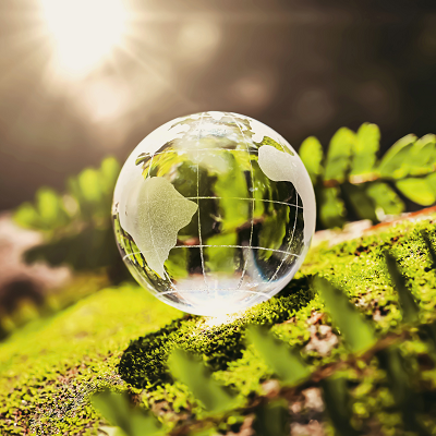 The Australasian Epidemiological Association - AEA